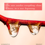 11 Ways Rain Can Make You Feel Good