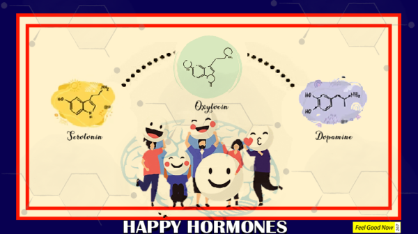 Know Your “Happy Hormones”: Dopamine, Oxytocin, & Serotonin