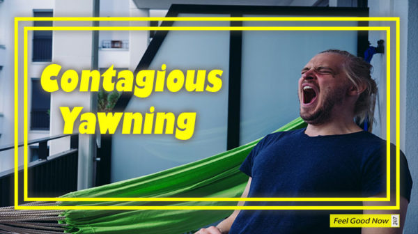 Why Do We Yawn & Why Is Yawning Contagious?