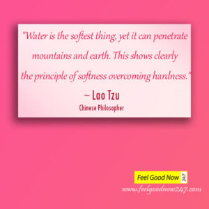 40+ Lao Tzu Quotes Full Of Wisdom